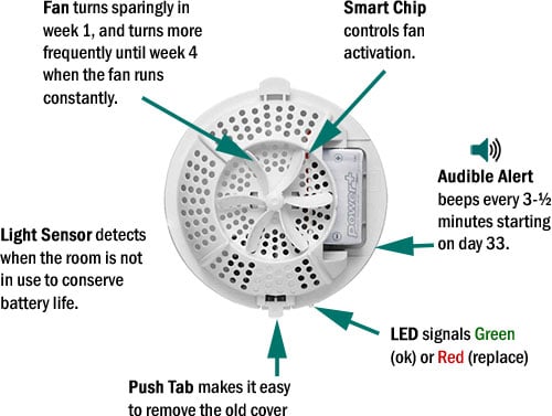 Easy Fresh Air Fresheners | Air Delights